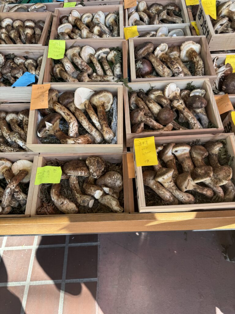 nakasendo 2024 – AWordPressSite